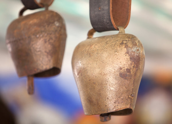 Cow Bells and their origins – The German Village Shop Hahndorf